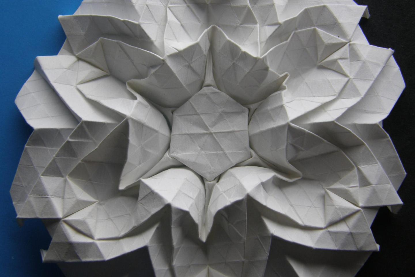 ZLATICZELIMIR | CFC Origami