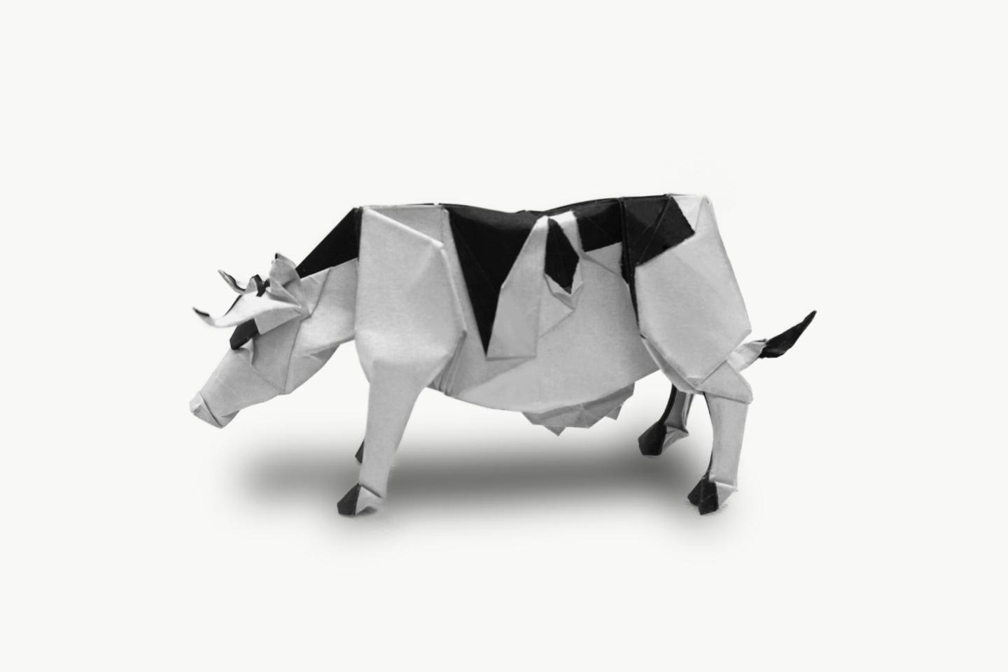 david illescas | CFC Origami