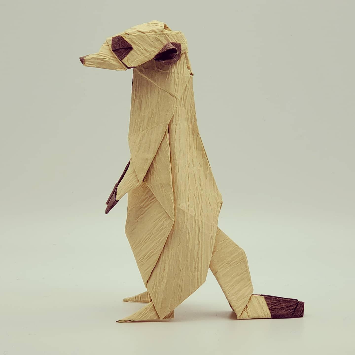 Tatsumi | CFC Origami