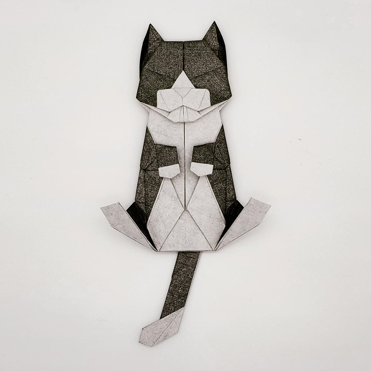Tatsumi | CFC Origami