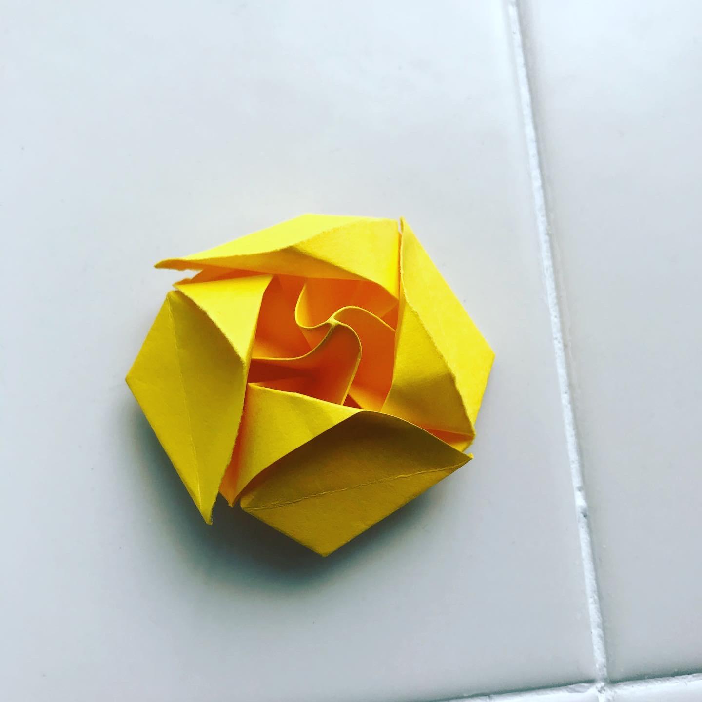 Schneiderorigami | CFC Origami