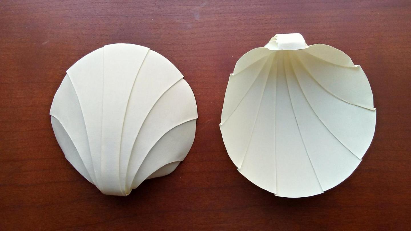PhilipChapman-Bell | CFC Origami