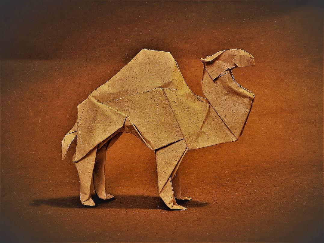 RomanDiaz | CFC Origami