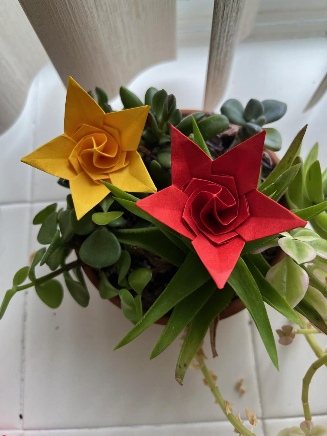 Schneiderorigami | CFC Origami