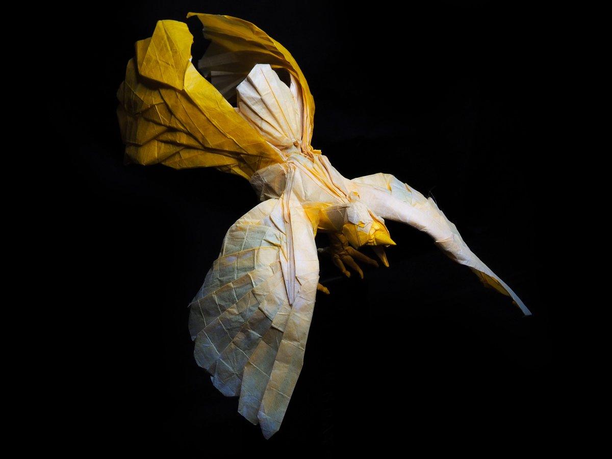 origamivan | CFC Origami