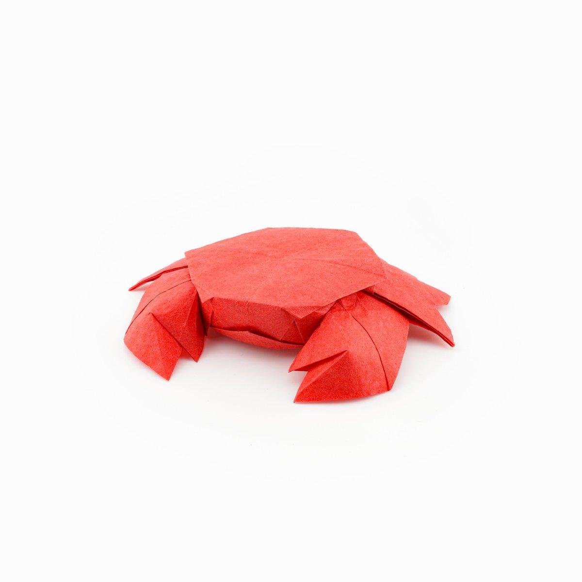 origamivan | CFC Origami