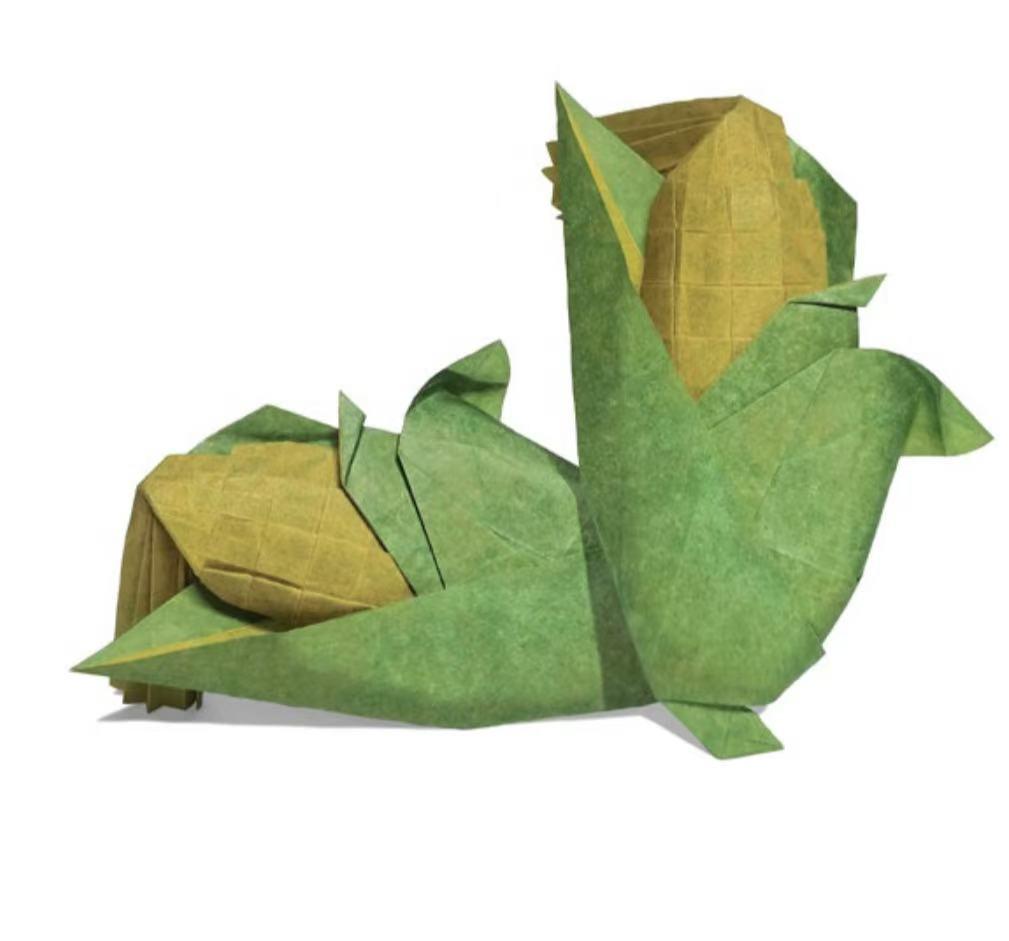 Award-Entry-2025-01-05-03:21:02 | CFC Origami
