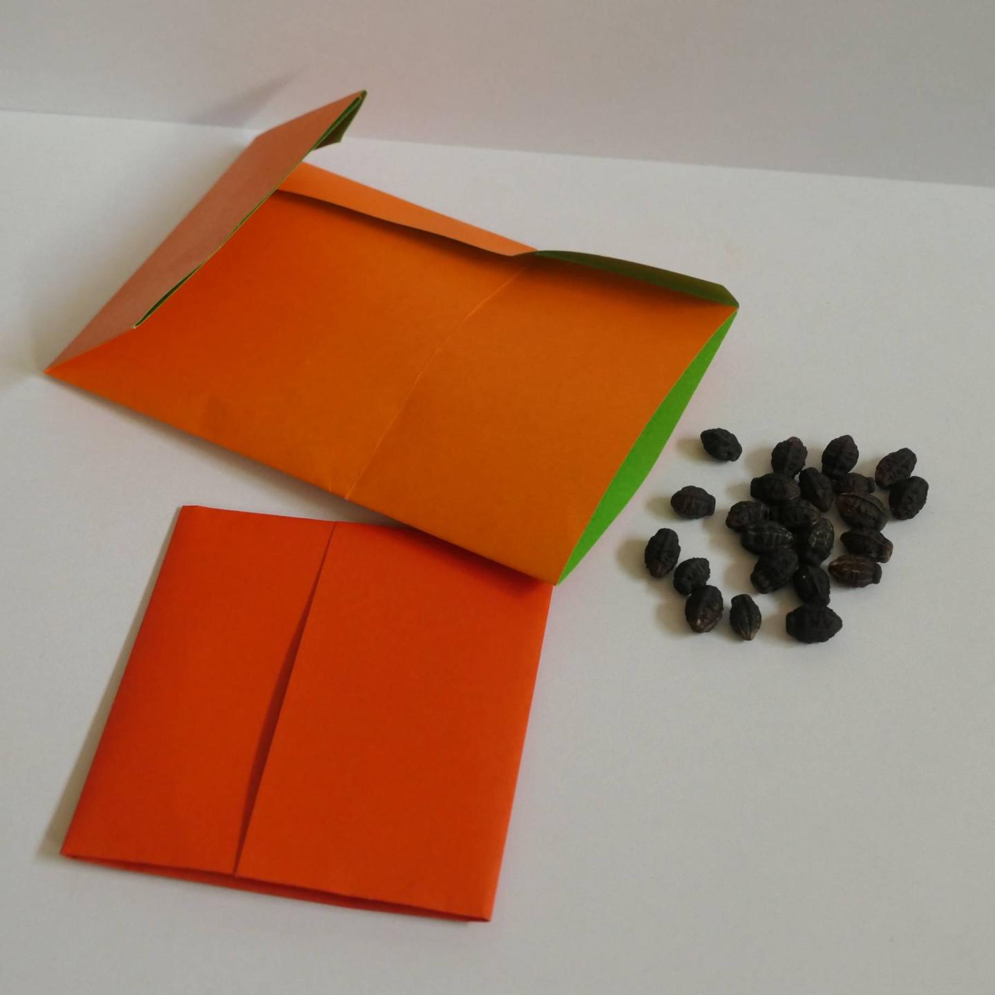 Simple Seed Packet - 1756958912 | CFC Origami