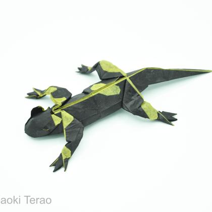 Naokigami | CFC Origami